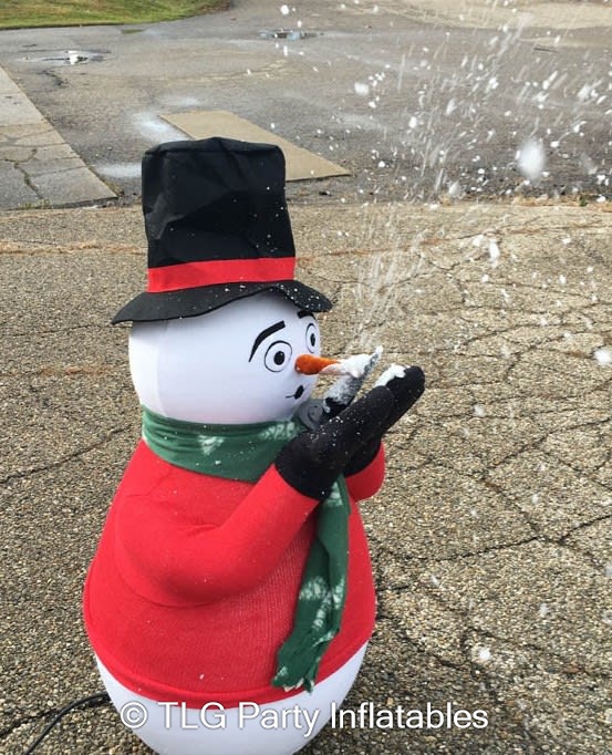 Freedom Frosty - Water Slides, Bounce Houses, Obstacle Courses ...